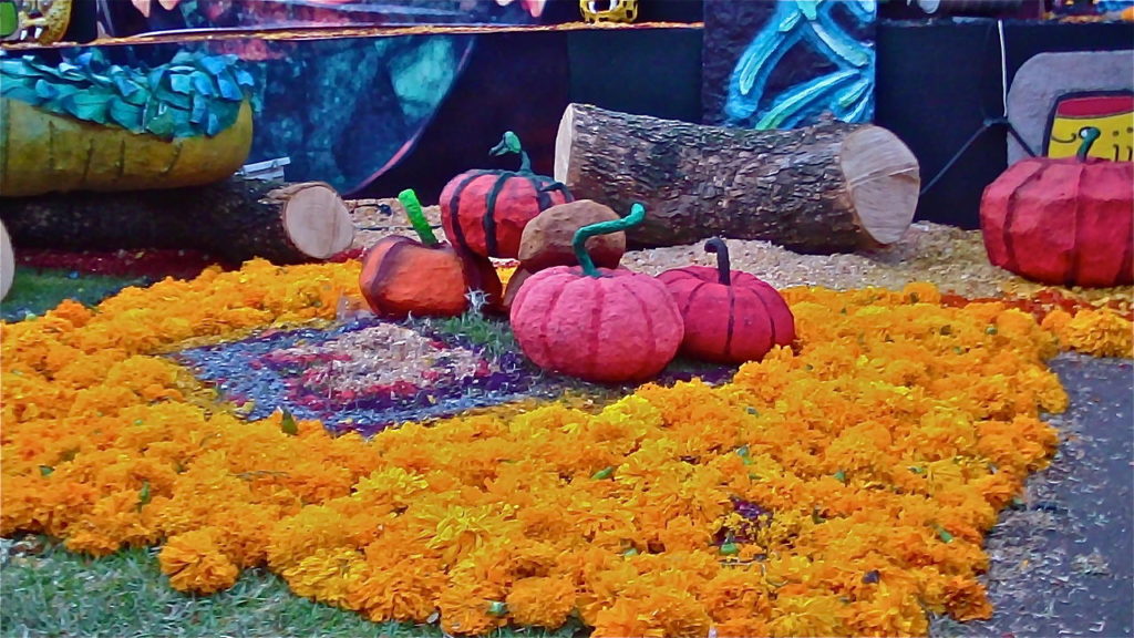 Flor Cempasúchil ¡Significado, propiedades y beneficios!