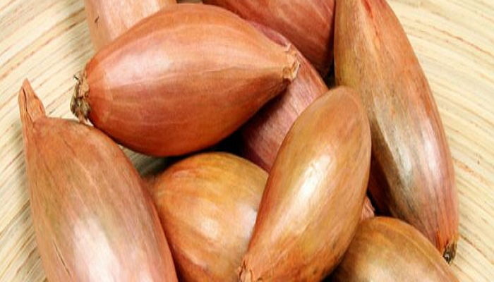 Chalota ¡Propiedades y beneficios Aquí 100% Reales!