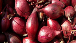 Chalota ¡Propiedades y beneficios Aquí 100% Reales!