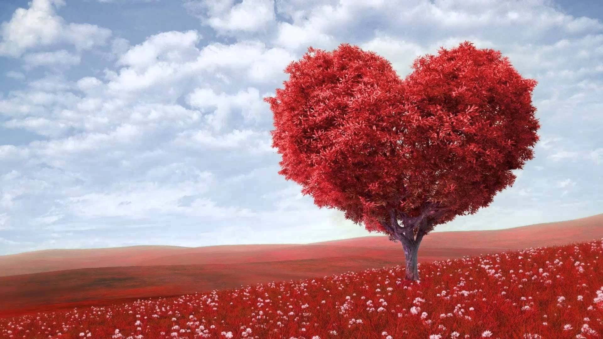 Soñar con amor ¿Que Significa? Explicación 100% Real!