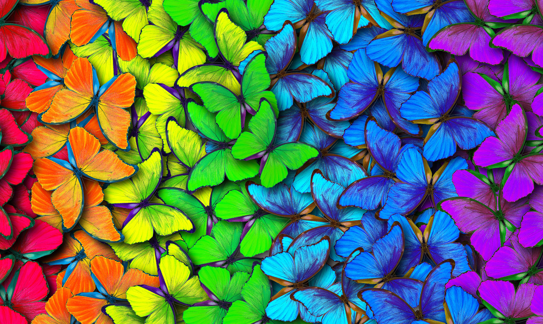 Soñar con colores ¿Que Significa? Explicación 100% Real!